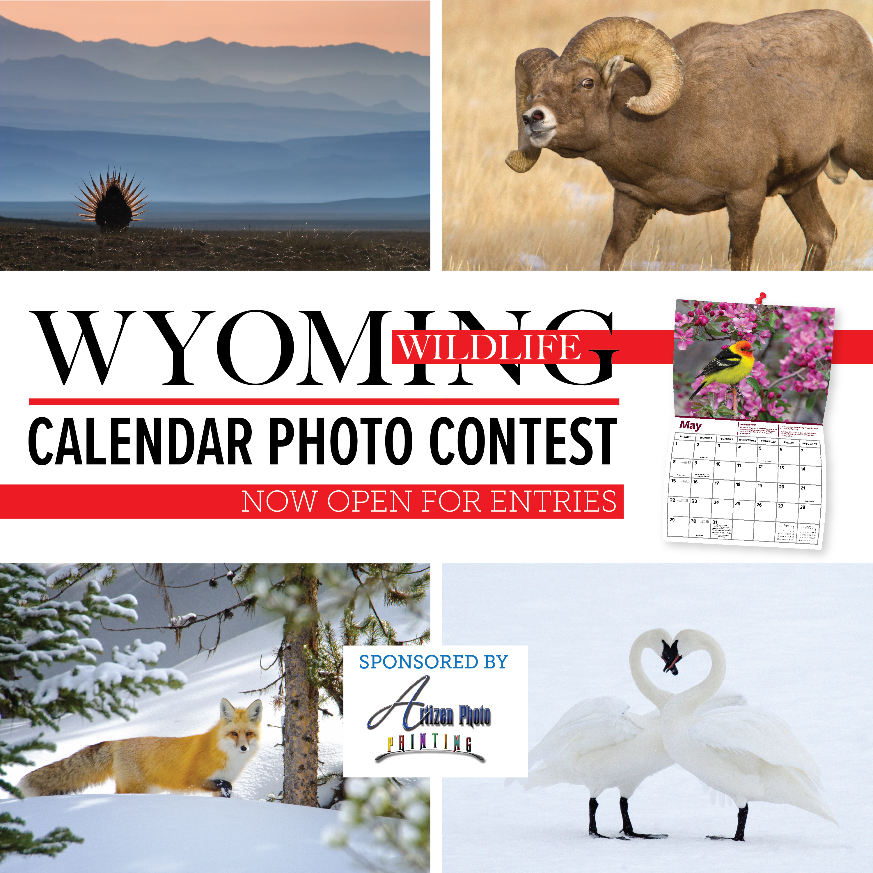 Wyoming Game and Fish Department - Become a published photographer