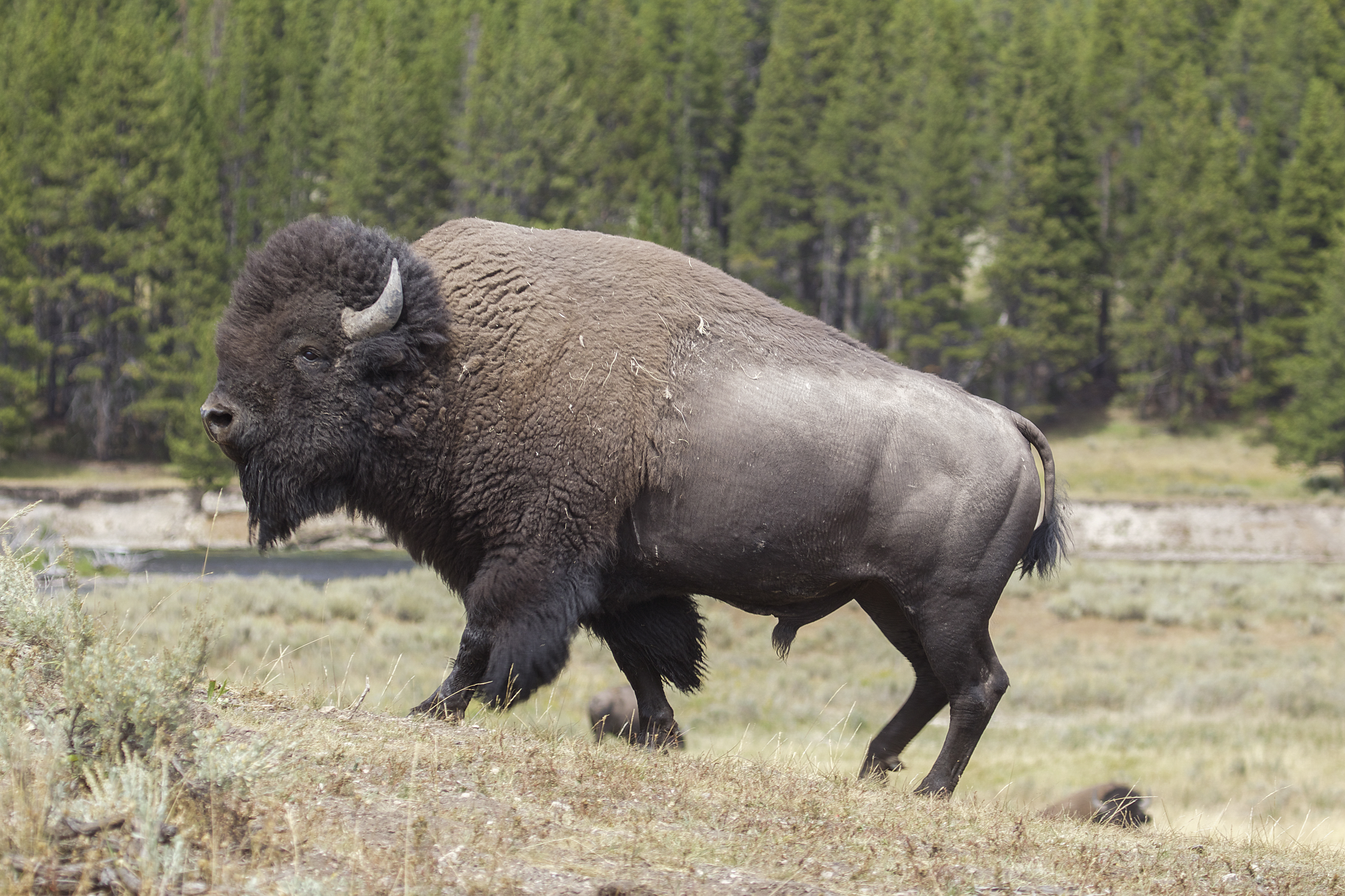 Wyoming Game and Fish Department - Wyoming Game and Fish Commission ...