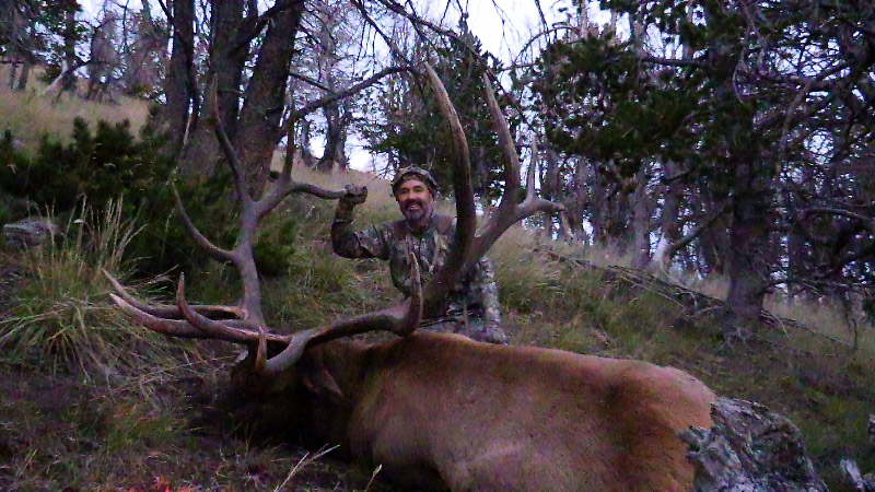 World Record Elk