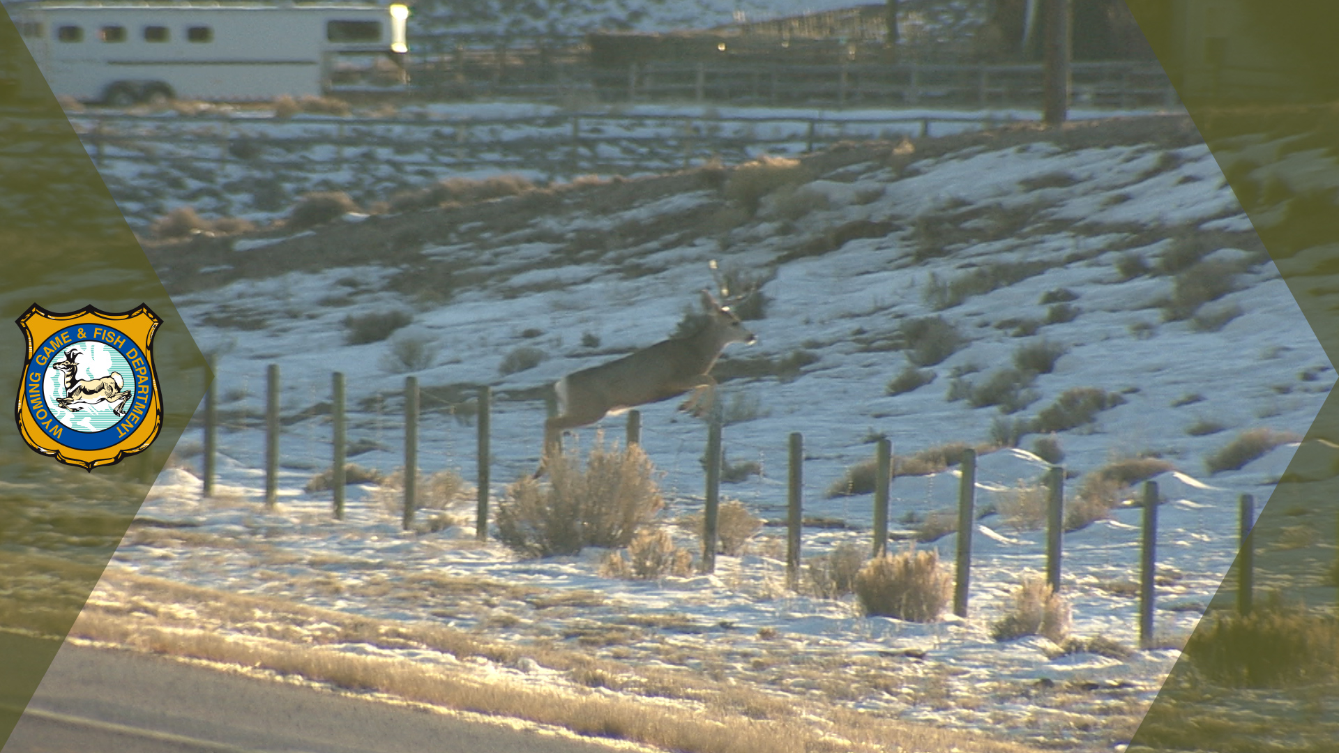 Wyoming Game and Fish Department - Game and Fish to launch new login ...