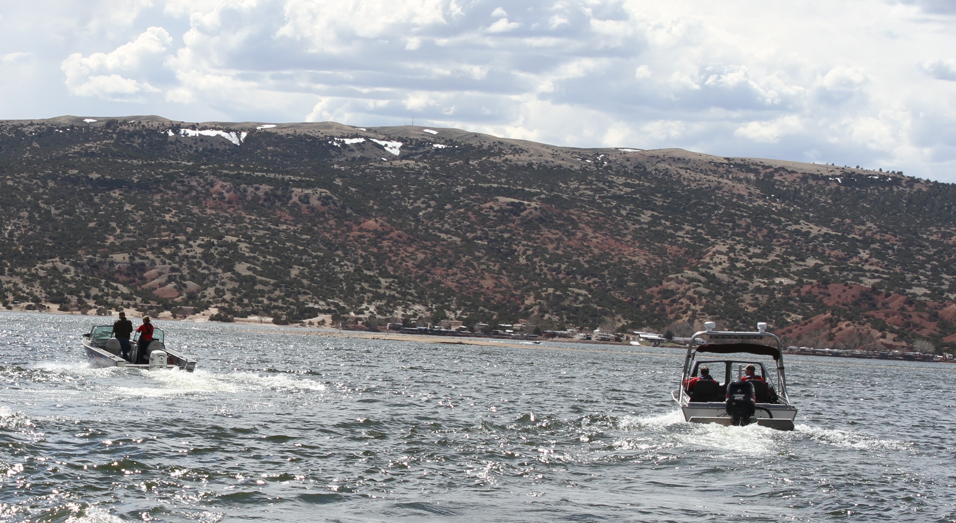 Wyoming Game and Fish Department - Moose and elk surveys