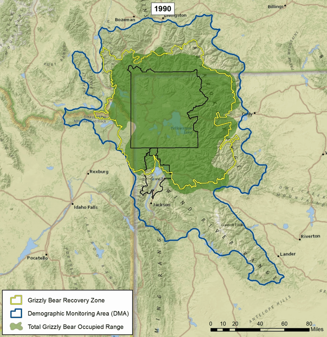 Wyoming Antelope Population Map - Channa Antonetta Wyoming Antelope Population Map - Channa Antonetta