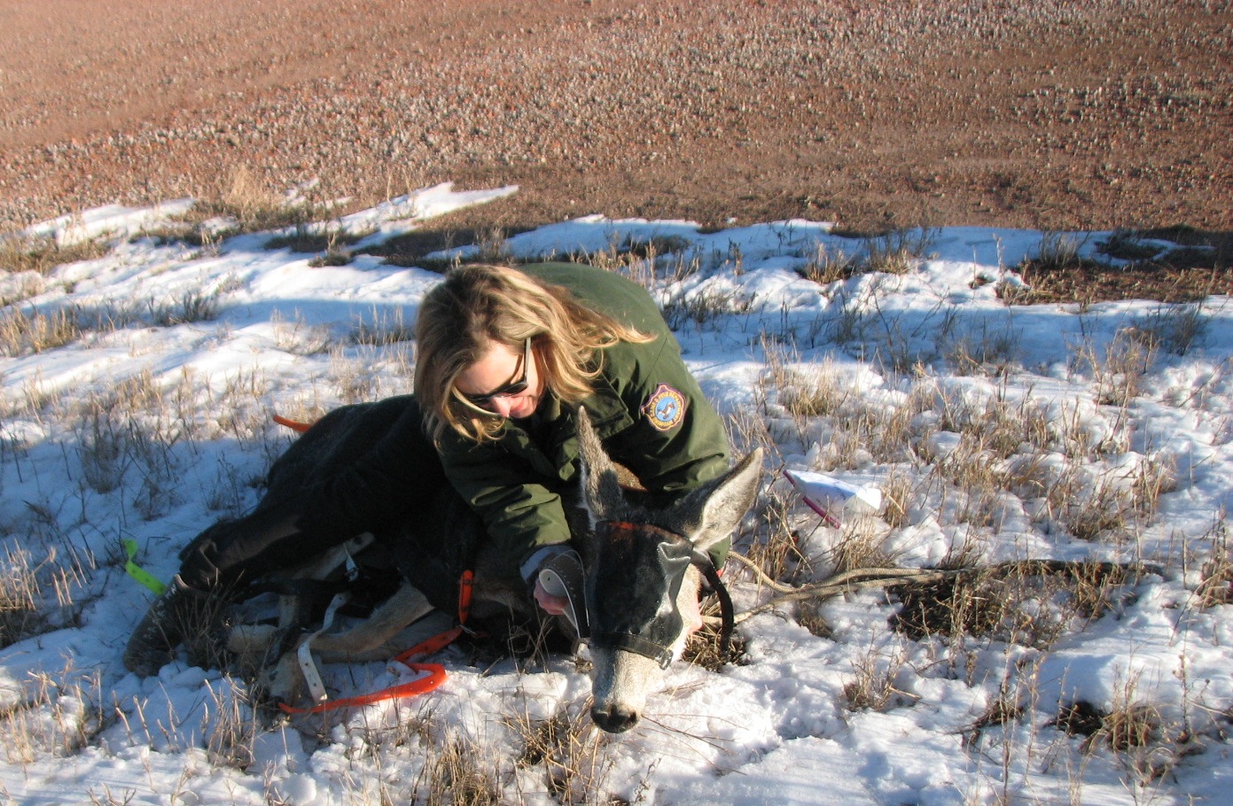 Wyoming Game and Fish Department - Gillette biologist receives ...