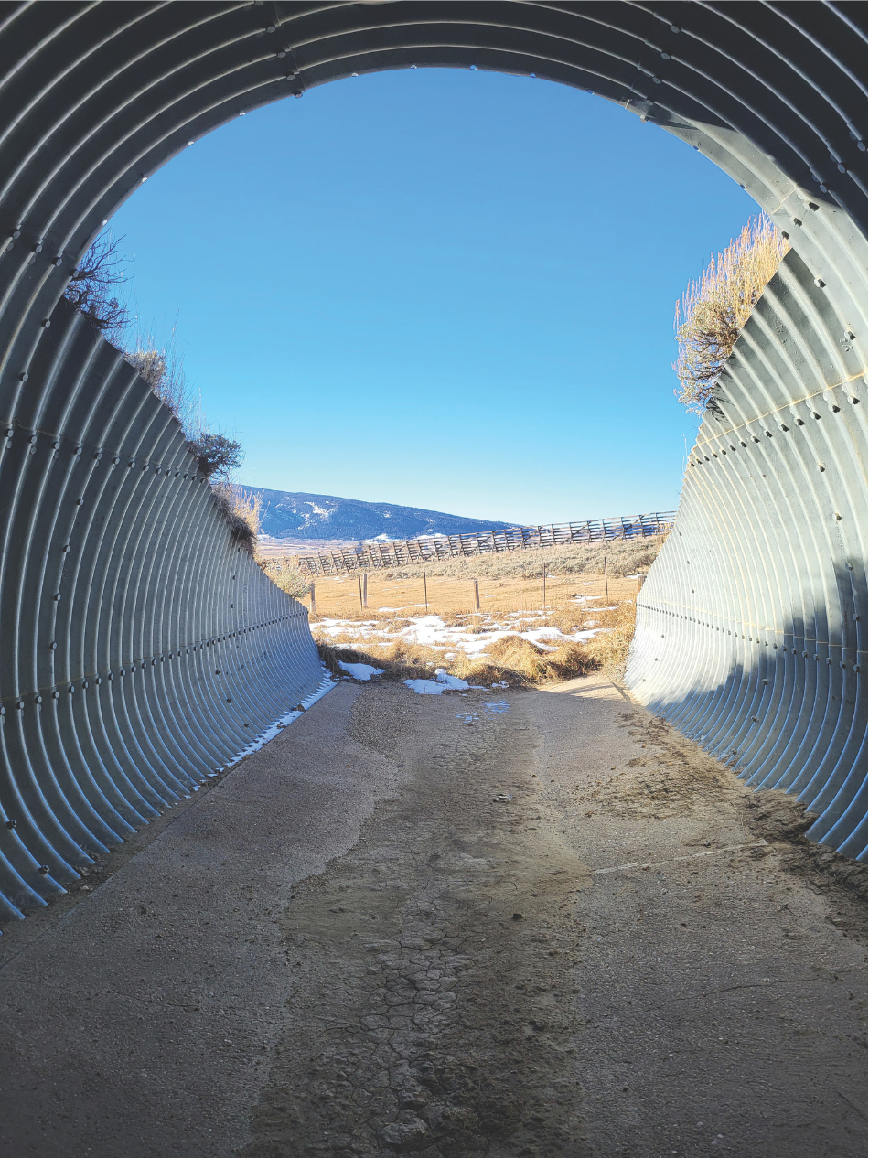 Over, under, around or through? | Wyoming Game & Fish Department