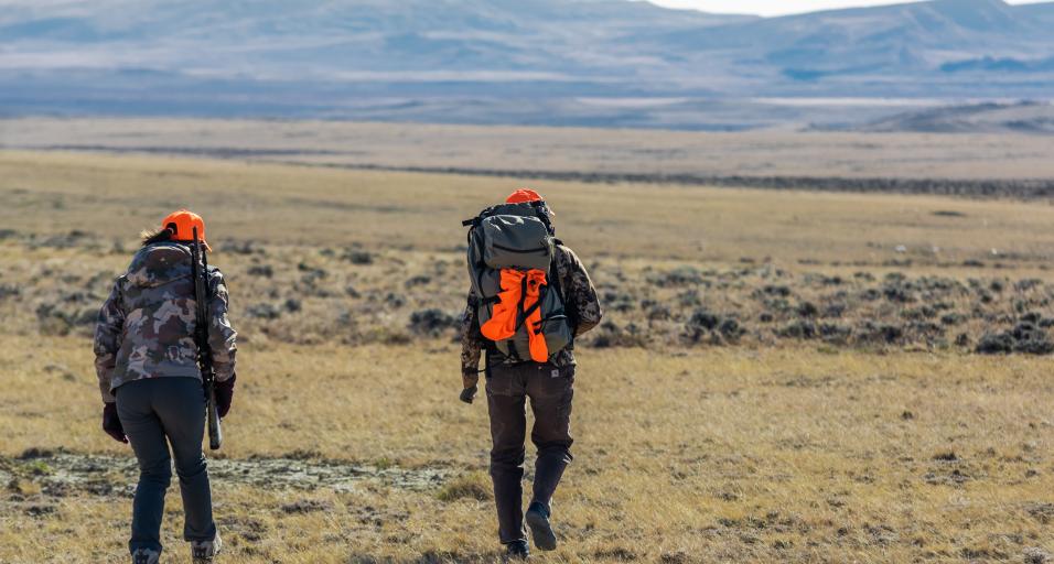 First big Wyoming hunting application deadline Jan. 31 | Wyoming Game ...