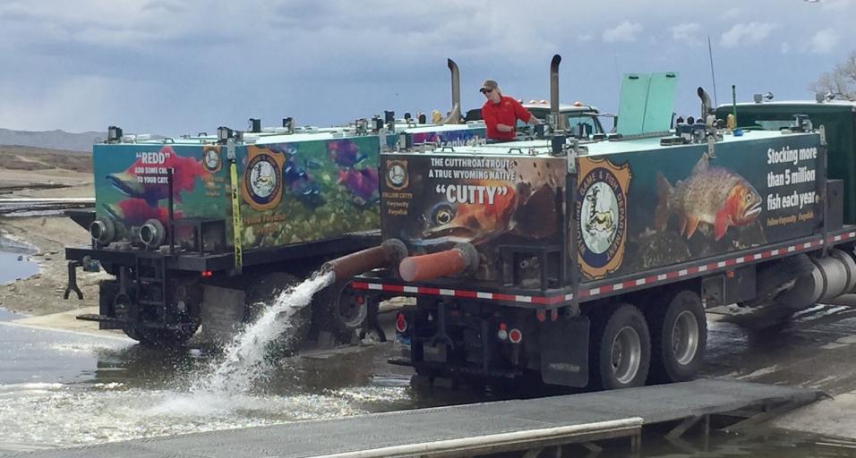 Game and Fish stocks 6.5 million fish in 2021 | Wyoming Game & Fish ...