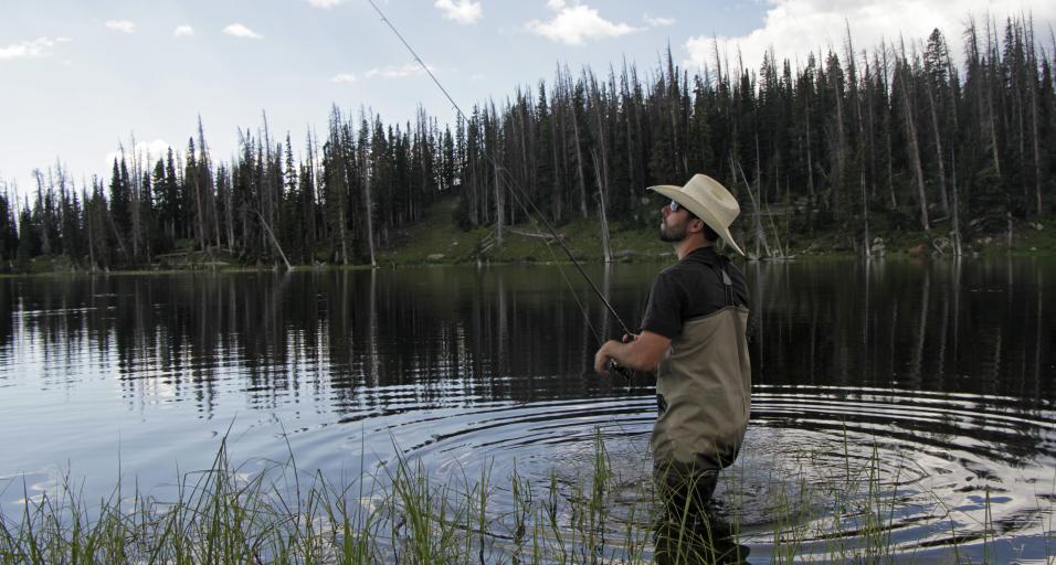 Game and Fish urges anglers to cease catch and release in the heat ... Game and Fish urges anglers to cease catch and release in the heat ...