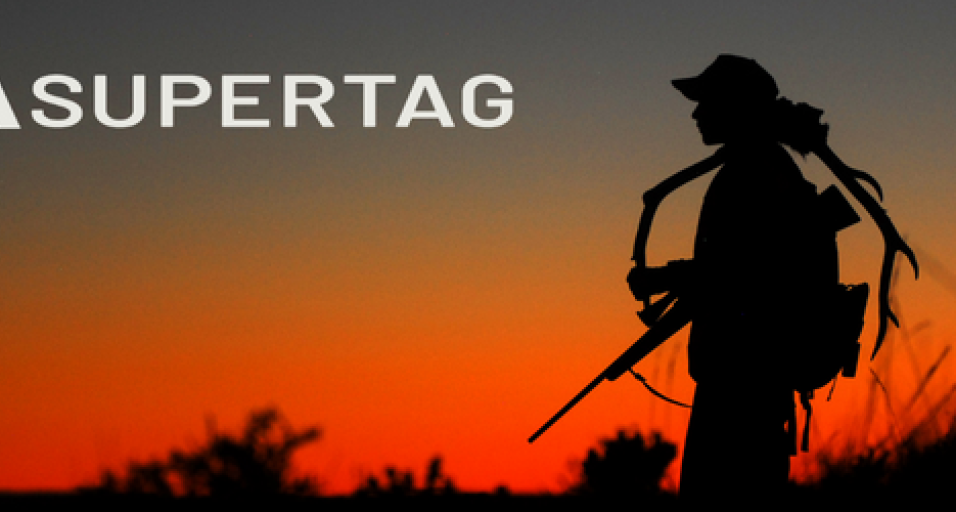 Super Tag raises $1.87 million for wildlife conservation | Wyoming Game ...