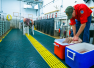 Fish Hatcheries | Wyoming Game & Fish Department