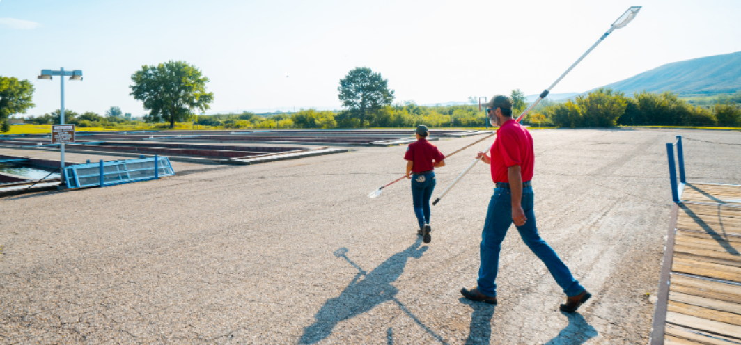 Clark's Fork Fish Hatchery | Wyoming Game & Fish Department