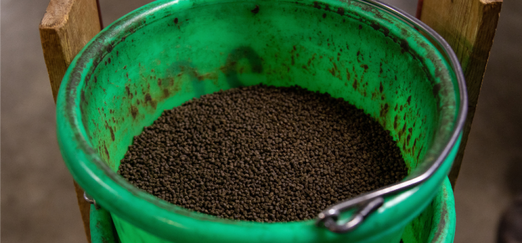 Clark's Fork Fish Hatchery | Wyoming Game & Fish Department