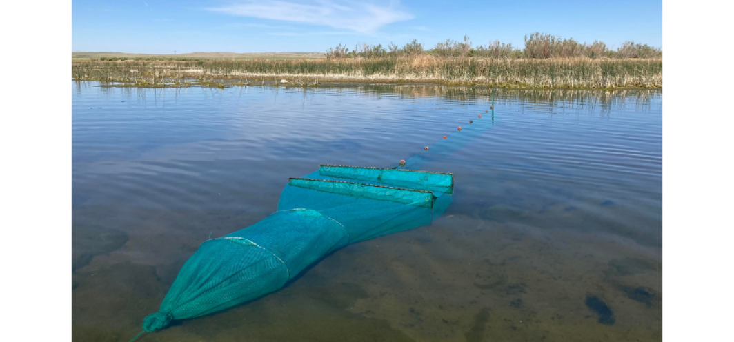Casper Region | Wyoming Game & Fish Department