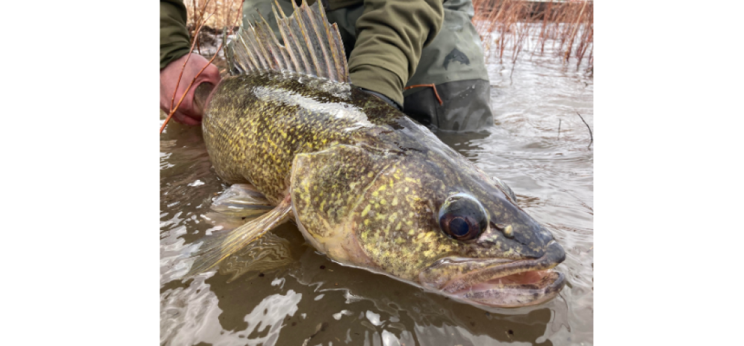 Casper Region | Wyoming Game & Fish Department