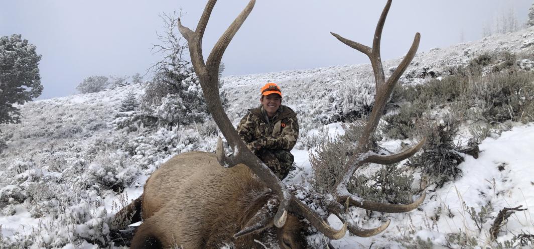 Wyoming Super Tag Raffle | Wyoming Game & Fish Department